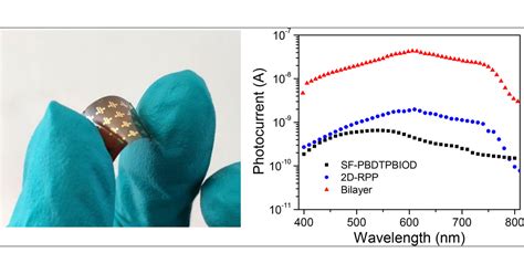Lateral Photodetectors Based On Double Cable Polymertwo Dimensional