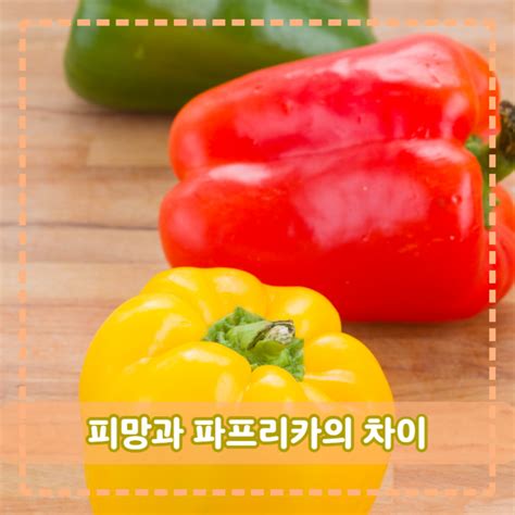 피망과 파프리카의 차이 자세히 알아봐요 네이버 블로그