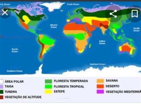 Biomas Que Temos No Planeta Terra Quizur