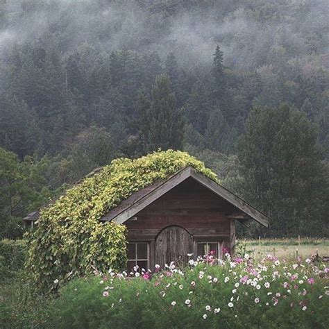 Artists Commune Tiny House Covered In Flowers