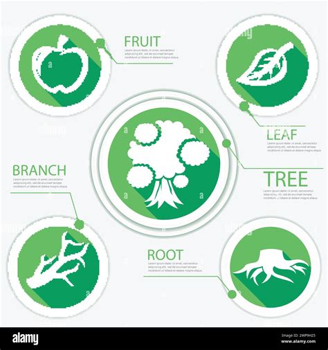 Tree Chart Go Green Flat Design Vector Illustration Stock Vector Image