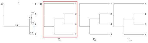 Fig S4 A Gene Trees With Introgression Rate R ∈ 00 01