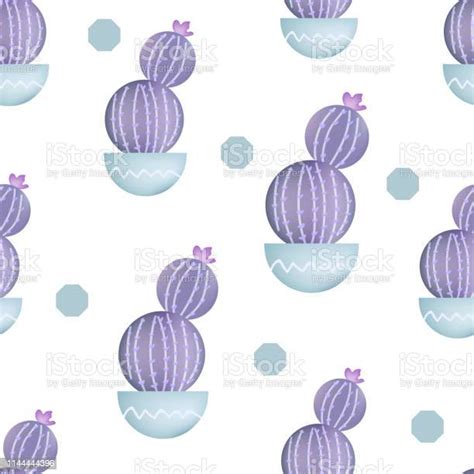 흰색 배경에 고립 된 냄비에 보라색 선인장과 완벽 한 패턴입니다 열 대 즙과 꽃 식물 멕시코 스타일입니다 당신의 디자인 포장지 벽지에 대 한 벡터 일러스트 레이 션 0명에