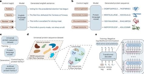 Large Language Models Generate Functional Protein Sequences Across
