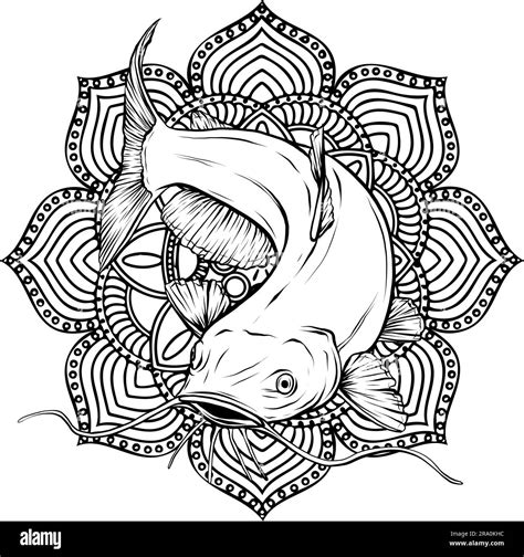 Hand Drawn Catfish Black And White Vector Sketch Of A Fish Stock Vector Image Art Alamy