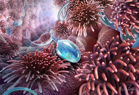 Audra Geras Biomedical Art On Behance