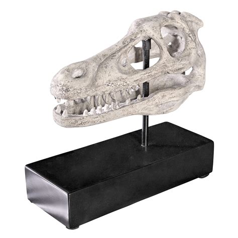 Velociraptor Skeleton Museum