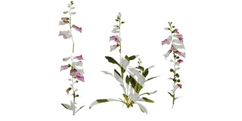 Anydrafts Digitalis Purpurea Atlas 02 Texture Superhive Formerly