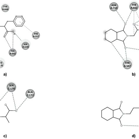 Visualization Of Affinity According To The Docking а Mіtіglinide With