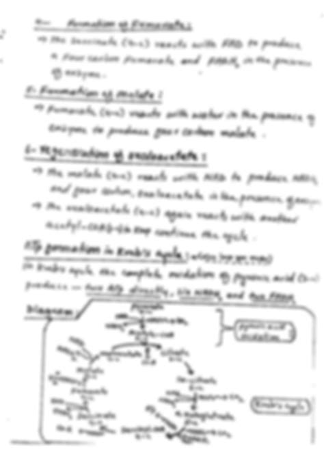 Solution Krebs Cycle Or Tricarboxylic Cycle Or Citric Acid Cycle