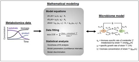 GitHub AU Wang He Group DynamicGEM Coculture A Semi Structured