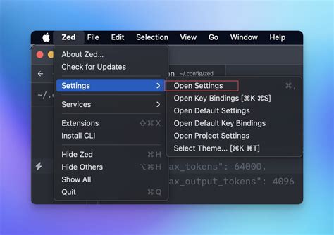 Zed Ide 介绍及如何添加 Deepseek V3 和 Deepseek R1 Api？ 同时附硅基流动的 Deepseek V3 和