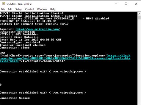 110 Tcpip Tcp Client