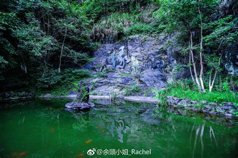 山谷流泉文化园 天然艺术博物馆 流泉 文化园 山谷 新浪新闻