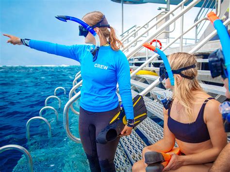 Reef Insight Reef Magic