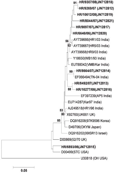 Phylogenetic Tree Based On Partial Nucleotide Sequences Download