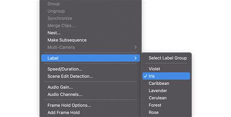 Learn How To Edit Audio In Premiere Pro In Simple Steps