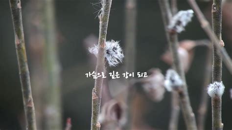 지금은 봄 김성춘 시 정애련 곡 소프라노 강혜정 Youtube