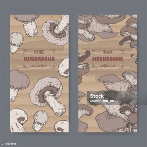 Two Labels With Agaricus Bisporus Aka Common Mushroom And Pleurotus