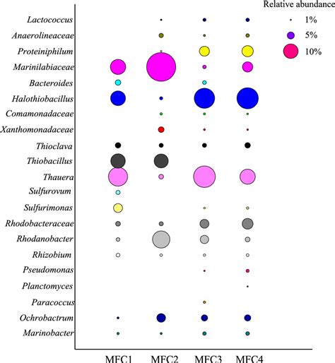 The Relative Abundance Of Dominant Genera And Common Genera In