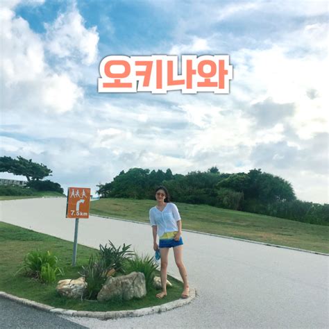 일본 오키나와 여행 만좌모 츄라우미 수족관 국제거리 네이버 블로그