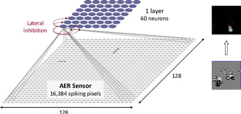 Figure From Design Study Of Efficient Digital Order Based STDP Neuron Implementations For