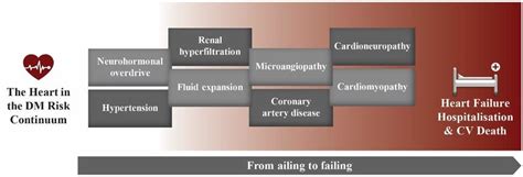 The Ominous Octet Contributors To A Failing Heart In Diabetes
