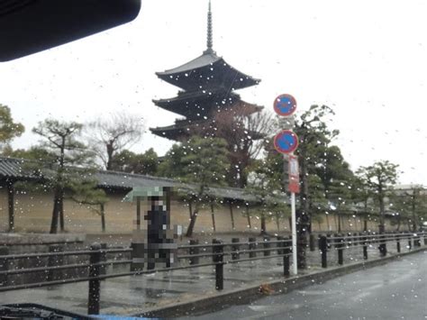 蓮華王院 三十三間堂 参拝（3月3日「桃法会」） 尚吾の「人生七転び八起き」