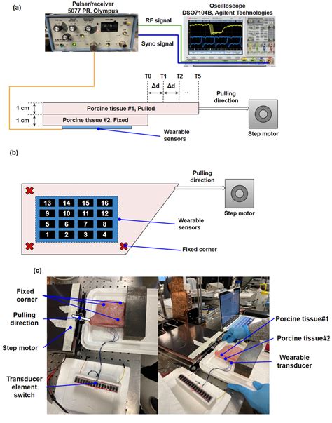 Experimental Setup For In Vitro Test Block Diagrams Of The