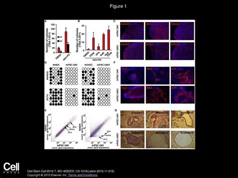 Volume 7 Issue 6 Pages December 2010 Ppt Download