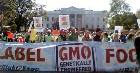 Big Food Aims To End Gmo Labeling