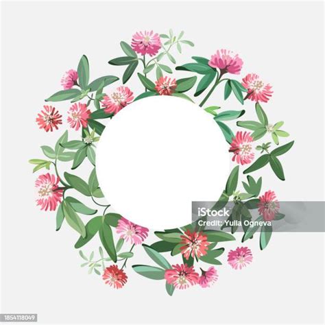 꽃 밝은 배경에 핑크 클로버 여름 일러스트입니다 프레임 3월에 대한 스톡 벡터 아트 및 기타 이미지 3월 공휴일 국경 Istock