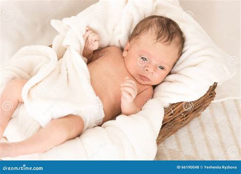 Красивый Newborn младенец лежа в плетеной корзине под одеялом Стоковое
