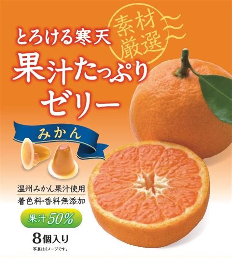 商品 有限会社片山食品