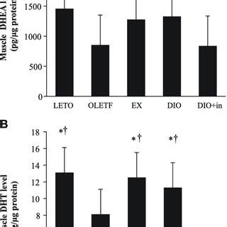 Levels Of The Sex Steroid Hormones DHEA A And DHT B In Download Scientific Diagram