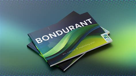 Bondurant Art And Culture Plan — Group Creatives