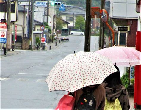高野山麓 橋本新聞 大雨なんの橋本「御幸辻だんじり」若衆ら威勢よく♡降雨前の隅田八幡神社・担ぎ屋台だんじりも～高野口駅前「歩行者天国