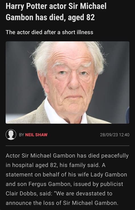 Ladies And Gents Raise Your Wands Rhogwartslegacyjkr