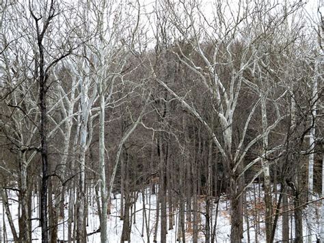 Ed And Cori No Degrees