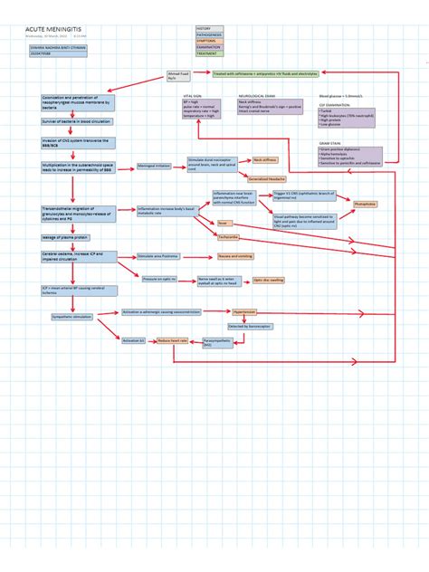 Mind Map Acute Meningitis Pdf