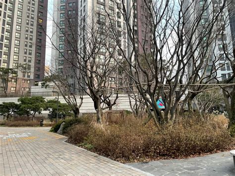 신길뉴타운 임장기 2탄ft래미안에스티움 힐스테이트클래시안 신길파크자이 남서울아파트 보라매sk뷰 네이버 블로그