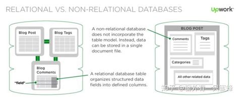 Sql 列求和数据分析技能 之 轻松了解sql（上） Csdn博客