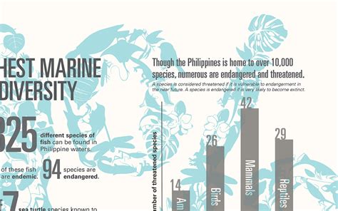 Philippine Biodiversity Infographic On Behance