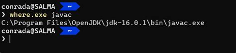 Tip Locating Commands In The Path On Windows Conrad Akunga Building Software In Net