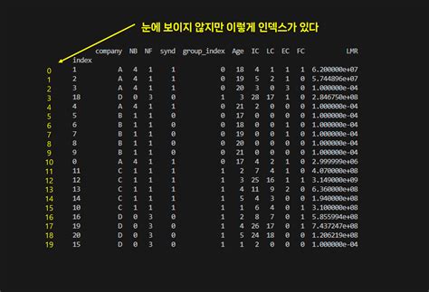 파이썬 python dataframe 기초 강좌 5 loc와 iloc 사용법과 차이점