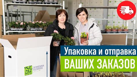 Как происходит упаковка и отправка Ваших заказов у нас на фирме - YouTube