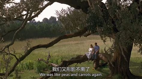 阿甘与珍妮 高清1080P在线观看平台 腾讯视频