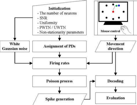 A Diagram Illustrating The Simulation Procedure In The Beginning Of A