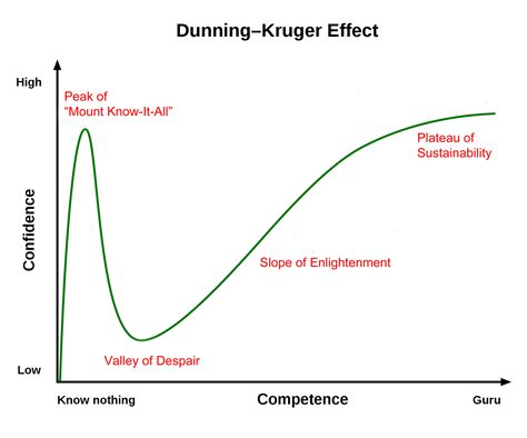 Dunning Kruger Curve Honey Bee Suite