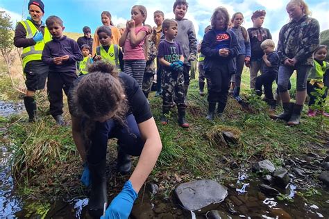 Faecal Source Tracking Our Land And Water Toitū Te Whenua Toiora Te Wai
